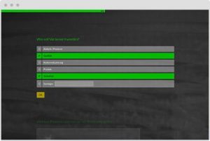 90+ Vorlagen, Beispiele & Muster für Umfragen