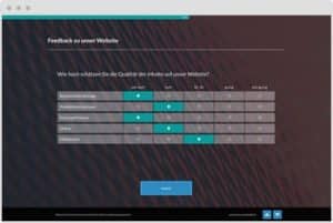 90+ Vorlagen, Beispiele & Muster für Umfragen